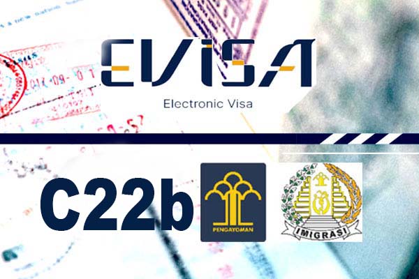 E-VISA C22B ( Intership Visa ) | Bali Visa Adventure